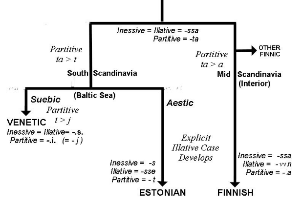 Veneetin ja itämerensuomen hämmästyttäviä yhtäläisyyksiä. – Pirkan Blogit